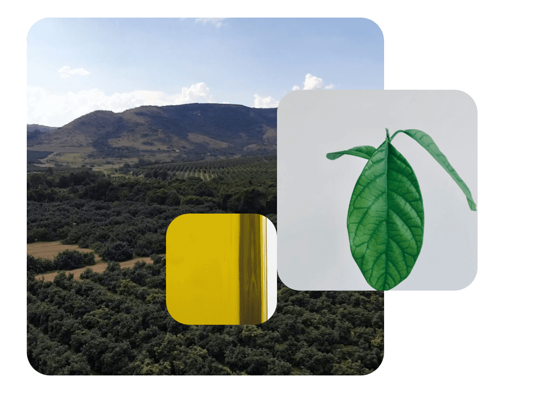 About us – Cultivate Trading