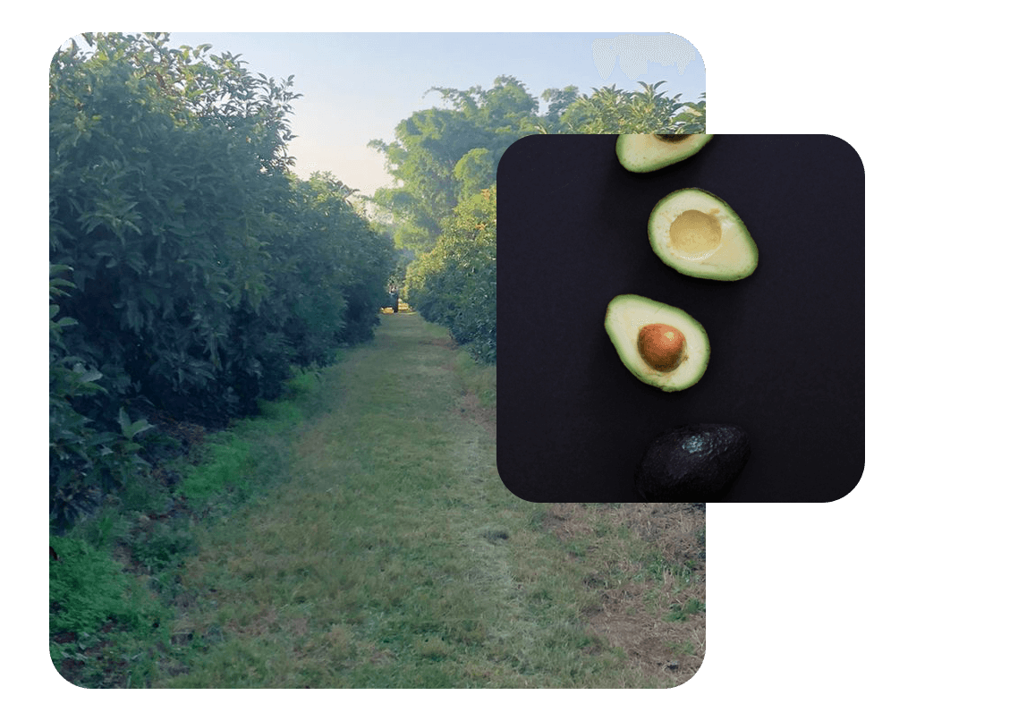 Products – Cultivate Trading